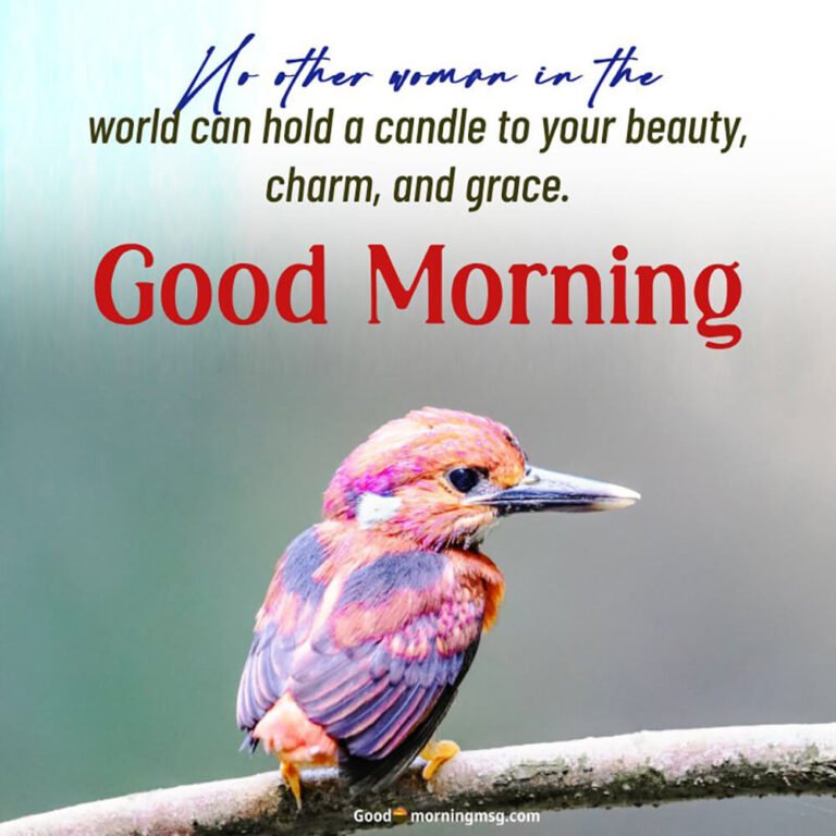 Good Morning Birds Images - goodmorningmsg.com - goodmorningmsg.com