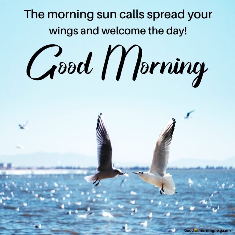 Good Morning Birds Images - goodmorningmsg.com - goodmorningmsg.com