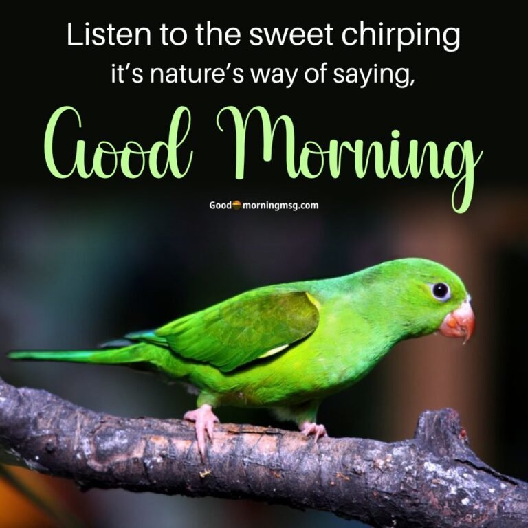 Good Morning Birds Images - goodmorningmsg.com - goodmorningmsg.com