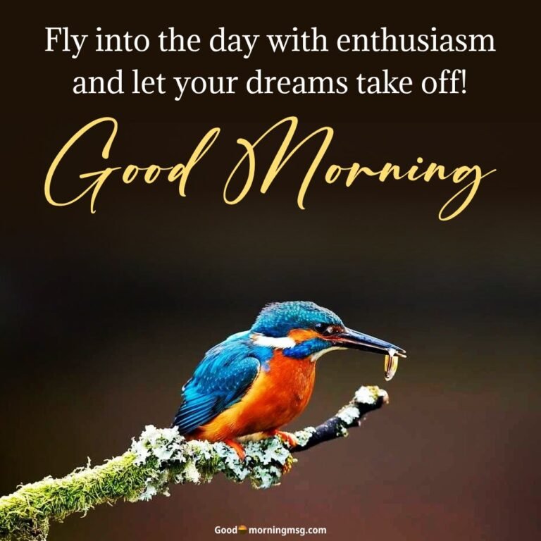 Good Morning Birds Images - goodmorningmsg.com - goodmorningmsg.com