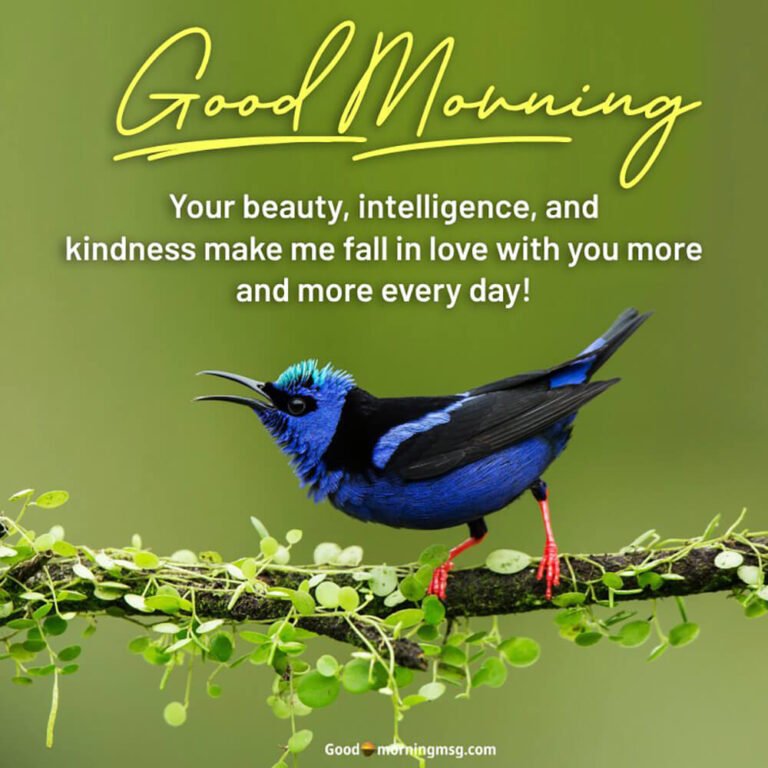 Good Morning Birds Images - goodmorningmsg.com - goodmorningmsg.com
