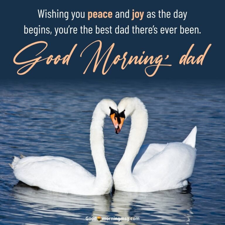 Beautiful Good Morning Images with Nature and Sunrise - goodmorningmsg ...