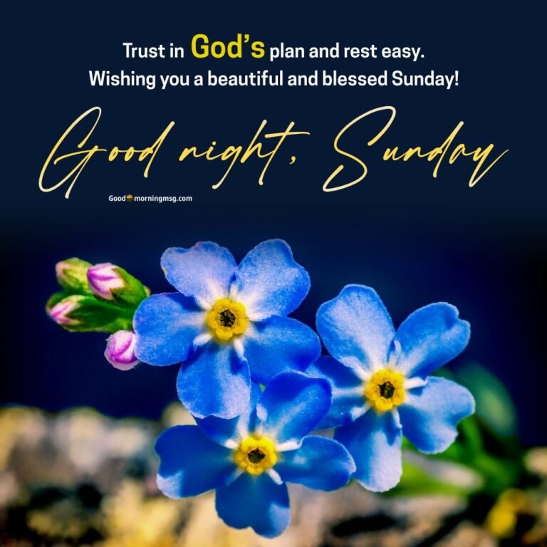 Sunday Good Night Blessings Images And Quotes - goodmorningmsg.com ...