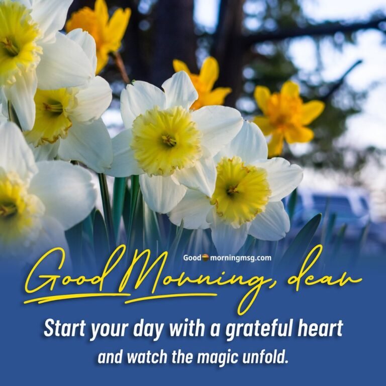 Best Good Morning Flower Quotes And Images - goodmorningmsg.com ...