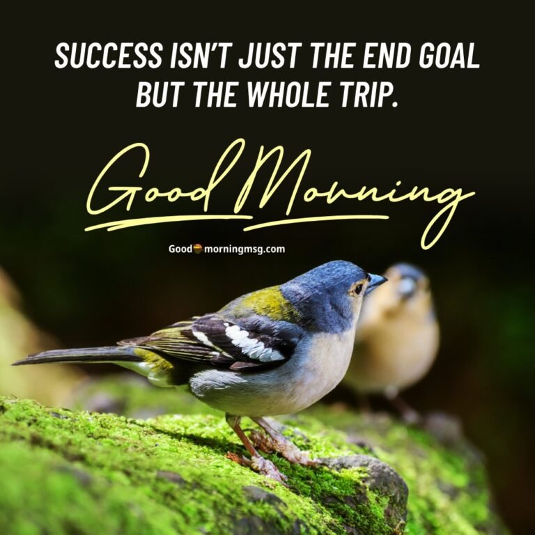 Beautiful Good Morning Images with Nature and Sunrise - goodmorningmsg ...