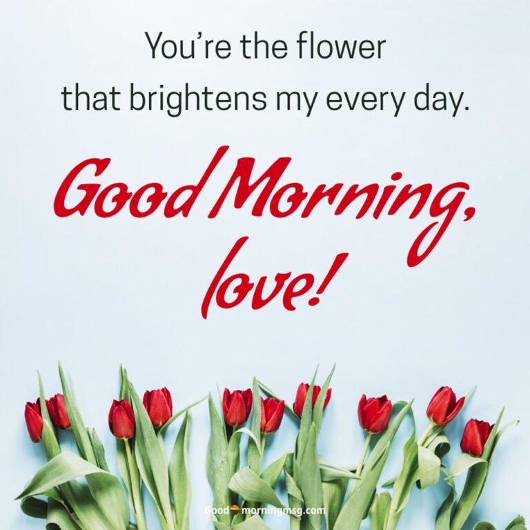 Beautiful Love Good Morning Flowers Quotes and Wallpaper ...