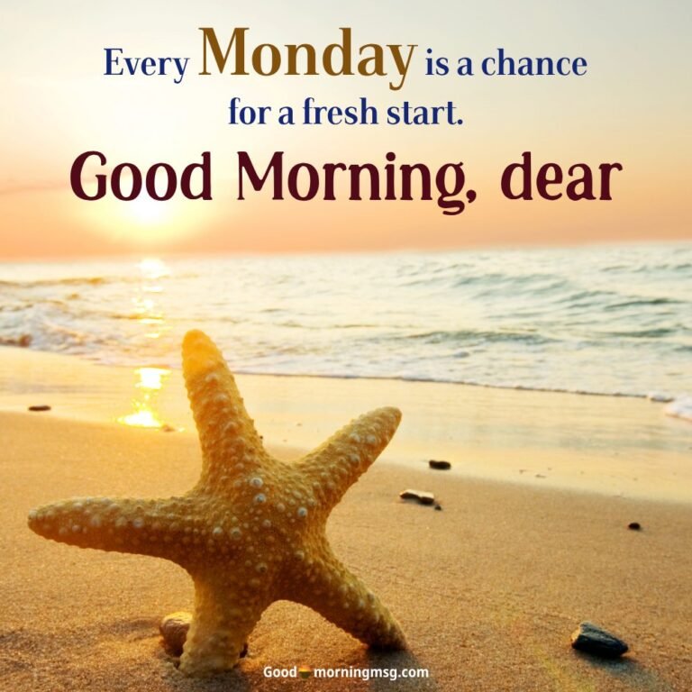 Have a Beautiful Happy Monday Dear Friend - goodmorningmsg.com ...