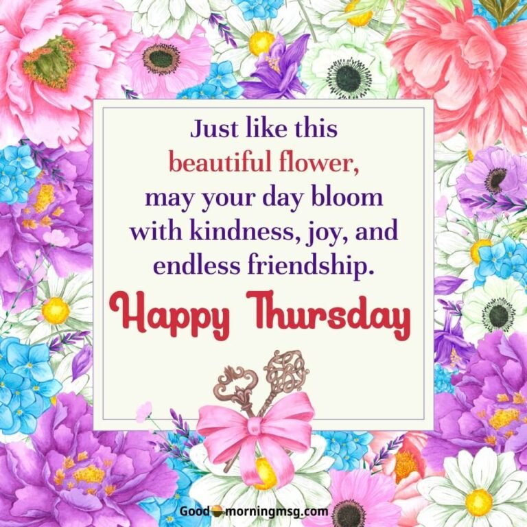 70+ Good Morning Thursday Flowers Images - goodmorningmsg.com ...