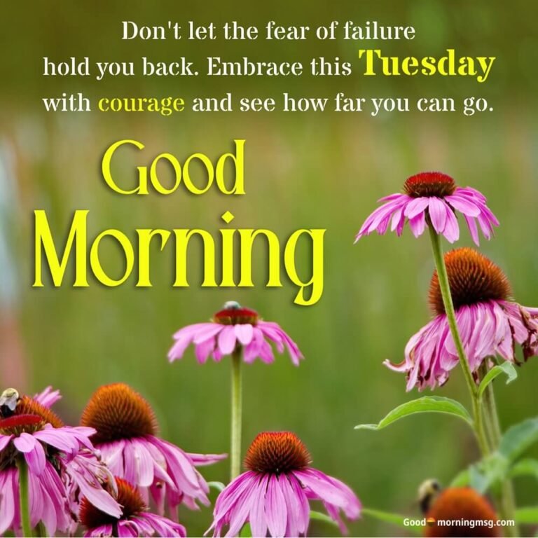 280+ Tuesday Good Morning Blessings Quotes And Images - goodmorningmsg ...