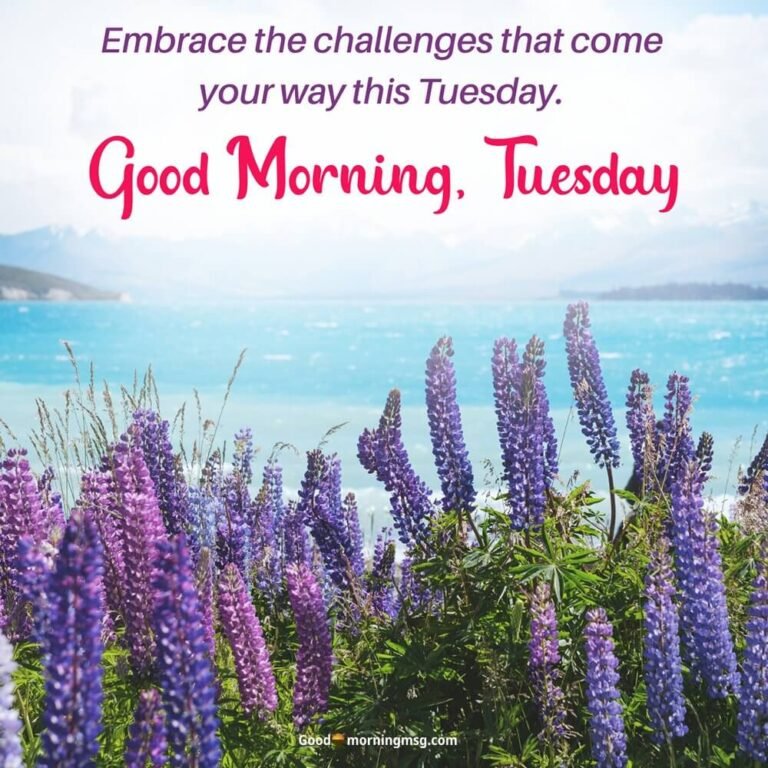 35+ Happy Tuesday Quotes and Wishes With a Smile - goodmorningmsg.com ...
