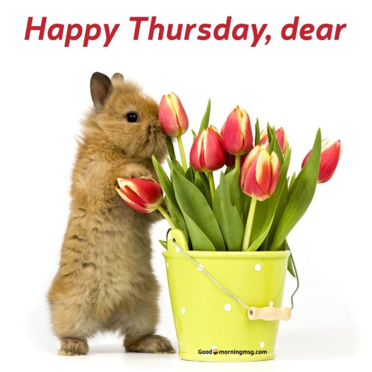 Thursday Morning, Quotes, Wishes, Happiness, Positivity ...