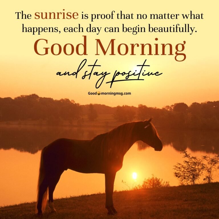 Beautiful Good Morning Images with Nature and Sunrise - goodmorningmsg ...