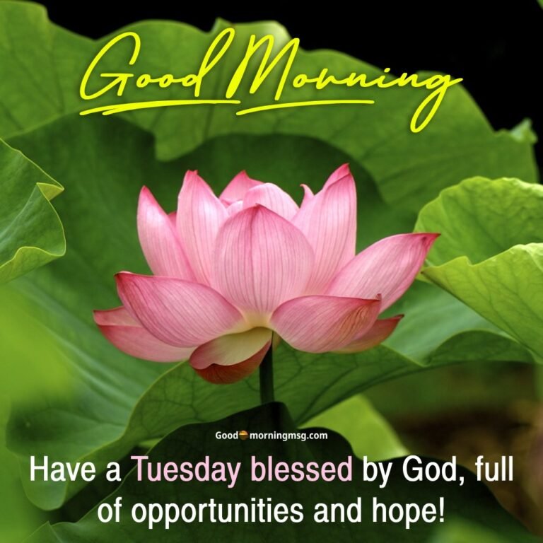 35+ Happy Tuesday Quotes and Wishes With a Smile - goodmorningmsg.com ...