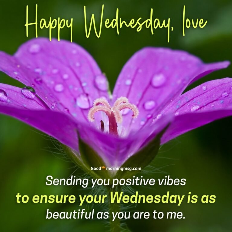 Beautiful Wednesday Flower Images, Morning Greetings and Quotes ...