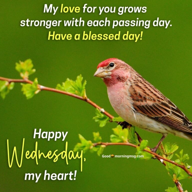 Beautiful Wednesday Flower Images, Morning Greetings and Quotes ...