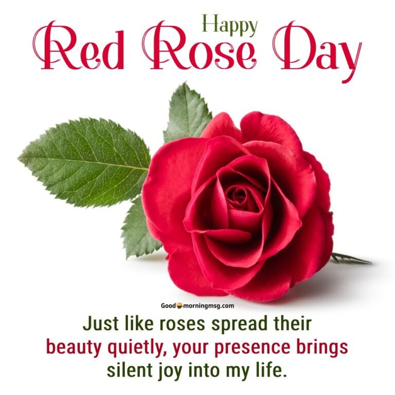 June 12 Happy World Red Rose Day Wishes Quotes and Poster ...