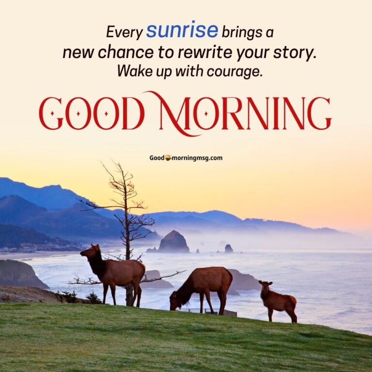 Beautiful Good Morning Images with Nature and Sunrise - goodmorningmsg ...