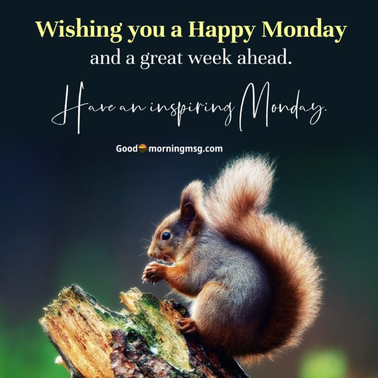 100+ Uplifting Happy Monday Messages Quotes and Pictures ...