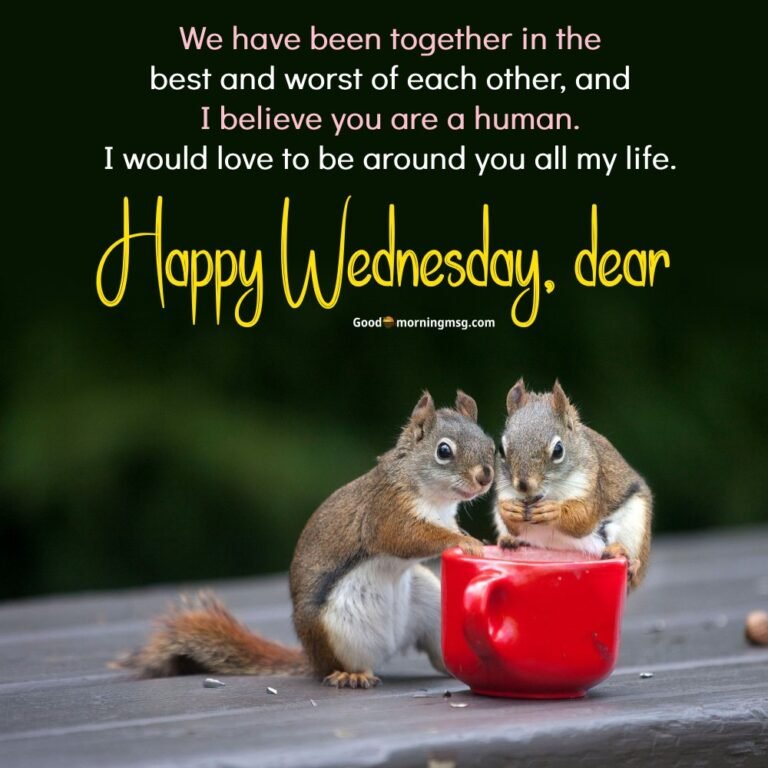 65+ Happy Wednesday Wishes, Morning Greetings and Quotes ...