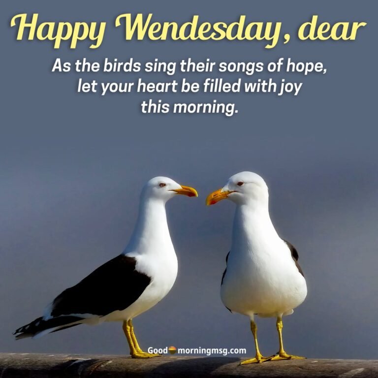 50 Good Morning Wednesday Wishes to Start Your Day with Positivity ...