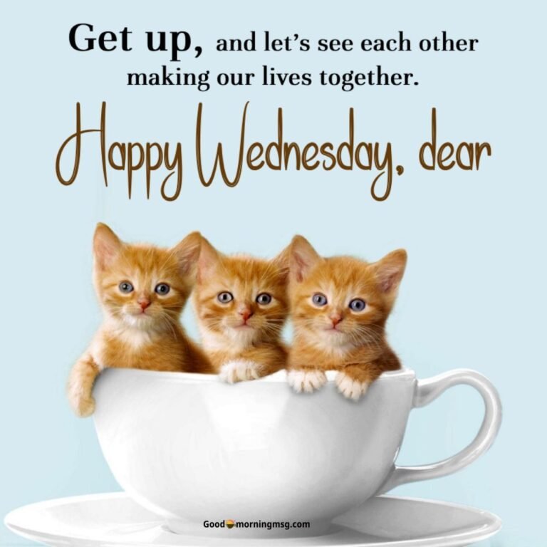 65+ Happy Wednesday Wishes, Morning Greetings and Quotes ...